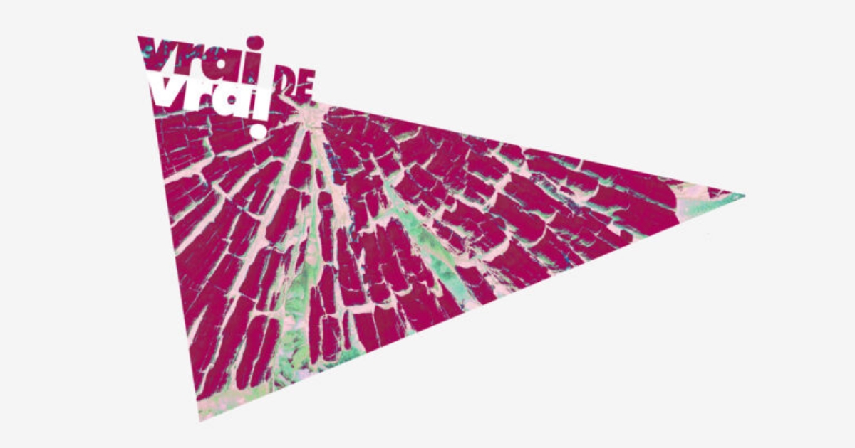 Festival Vrai de Vrai